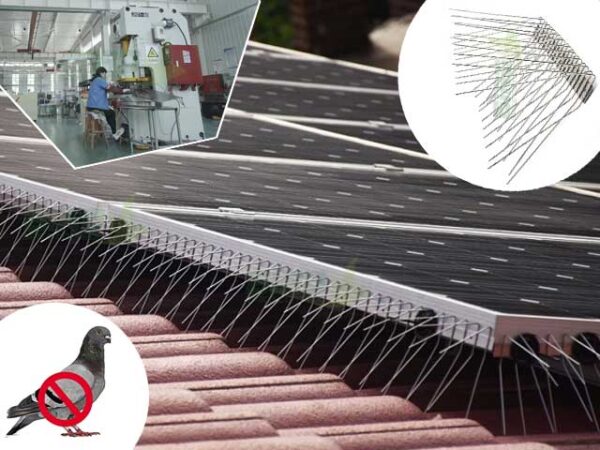 Solar Panel Bird Spikes to Prevent Pigeon Nesting Manufacturer in China ...