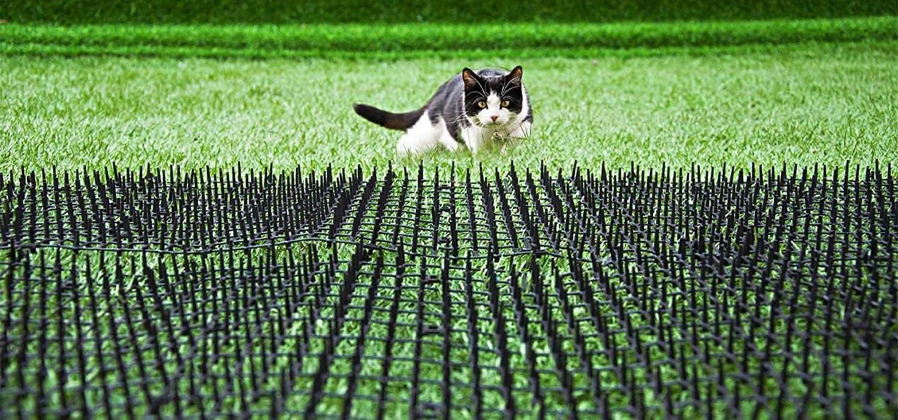 How to keep the cats away from your plants | Anti Cat Scat Mat | Pest ...