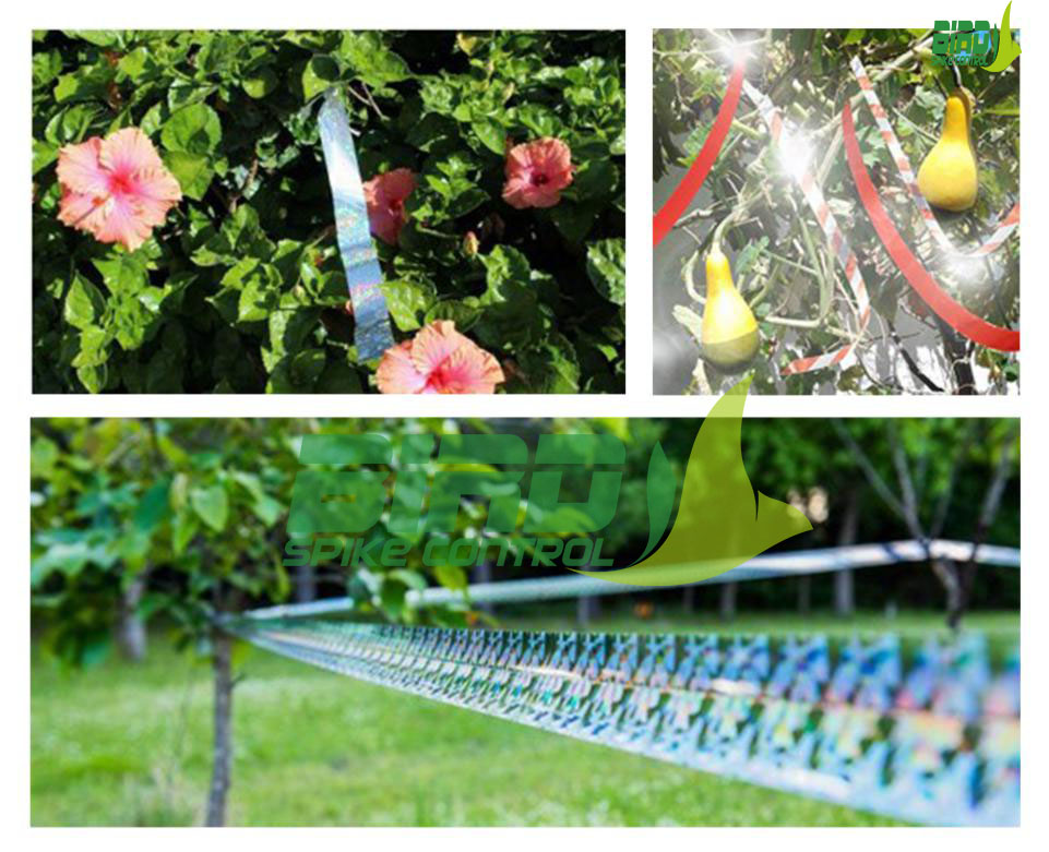 New Arrival- Bird Scare Tape | Bird Control Products Supplier ...