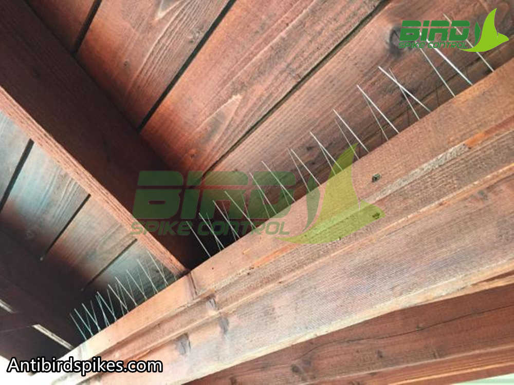 PC base Stainless Steel Bird Spikes under Eaves | Bird Spikes Supplier