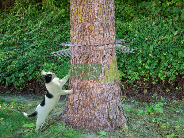 Weasel protection | Bird Control Products Supplier & Manufacture | Anti ...